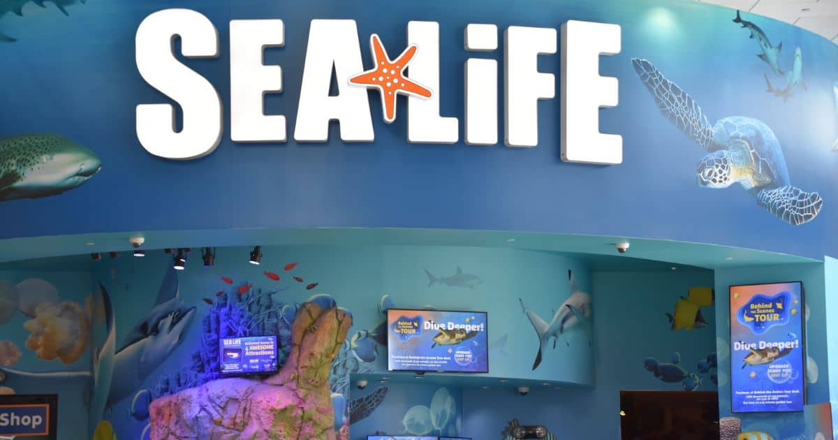 The Ultimate Guide to Kid-Friendly Theme Parks in Orlando: Beyond ...