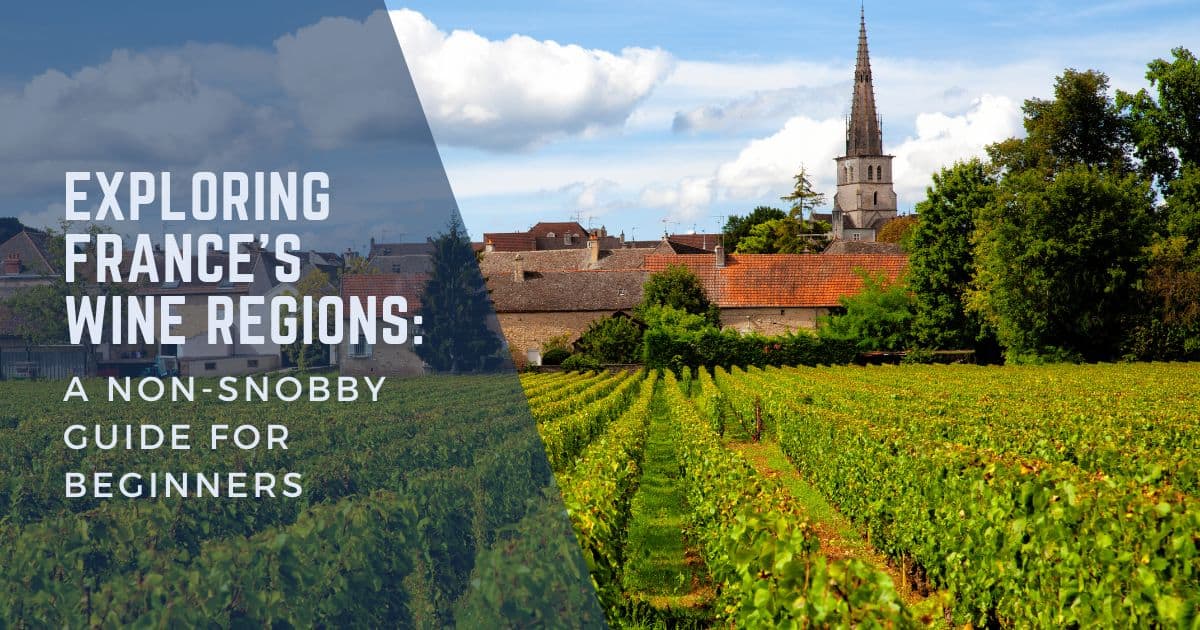 Best Wine Regions in France for Beginners (Map, Tips & Tours) - GaiaGazer
